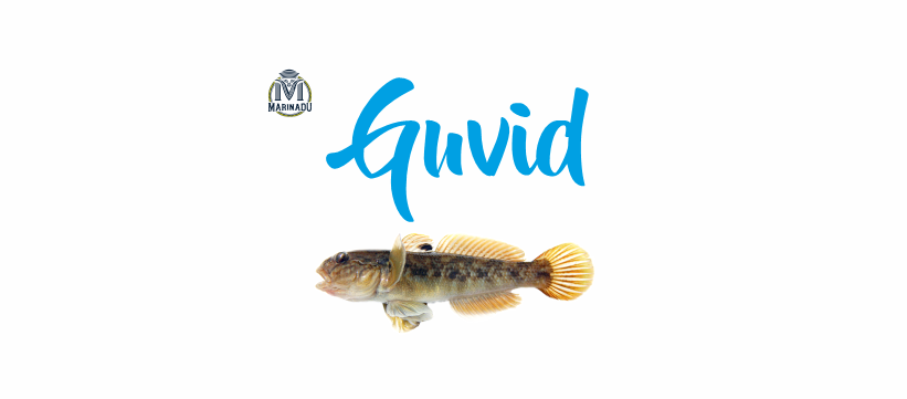 Guvid - Ghid Complet pentru Pescari și Pasionați de Natură
